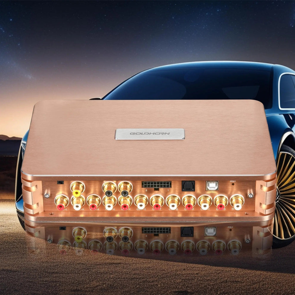 Goldhorn P2 DSP Pro V2 | 12 Channel DSP/DSD Player