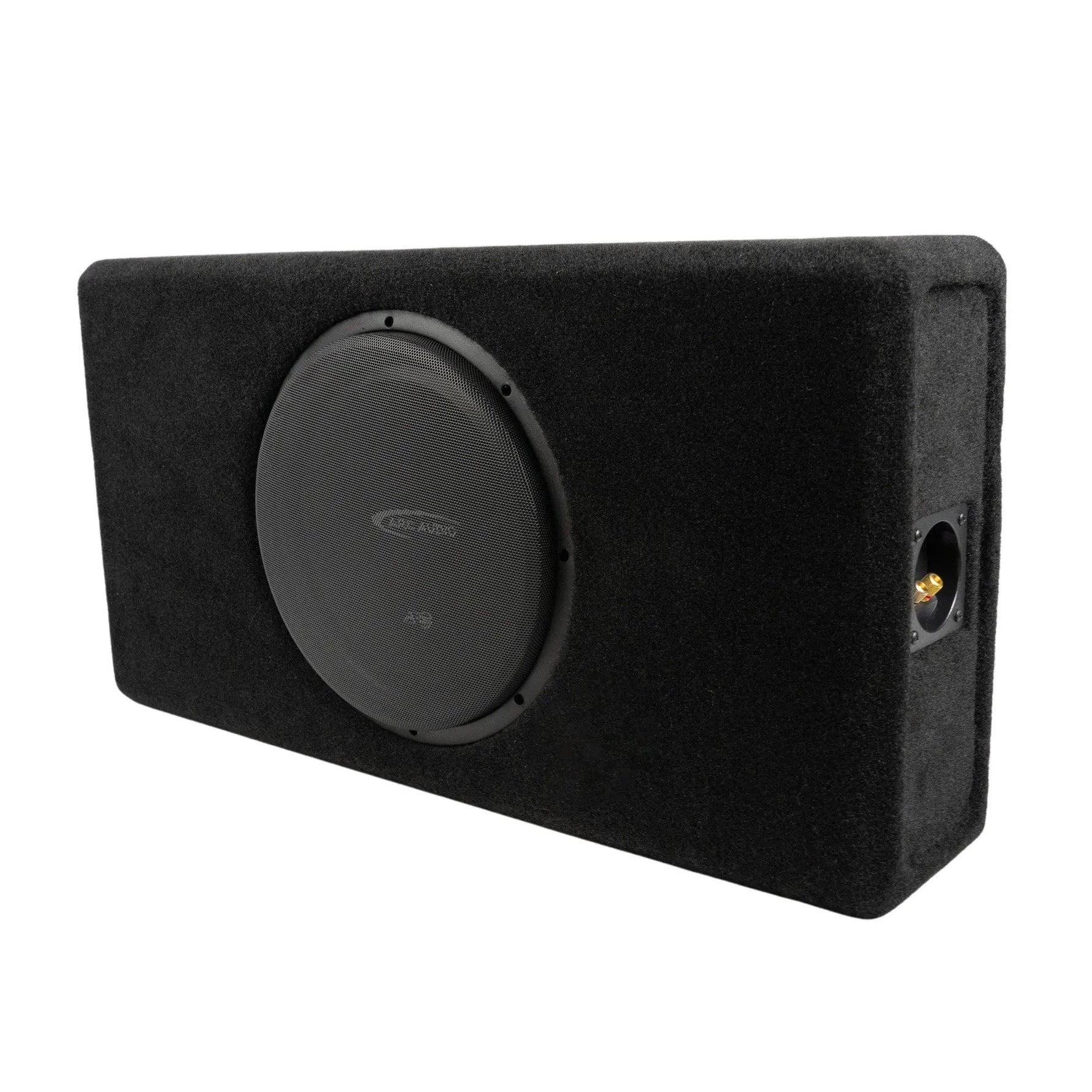 Arc Audio A10 10" Subwoofer System| Compact High-Performance