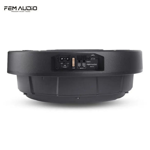 FEM Audio 12" Spare Tire Subwoofer